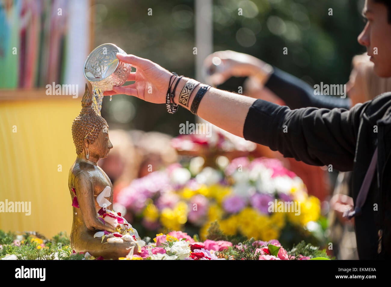 Beauty pageant man hi-res stock photography and images - Alamy