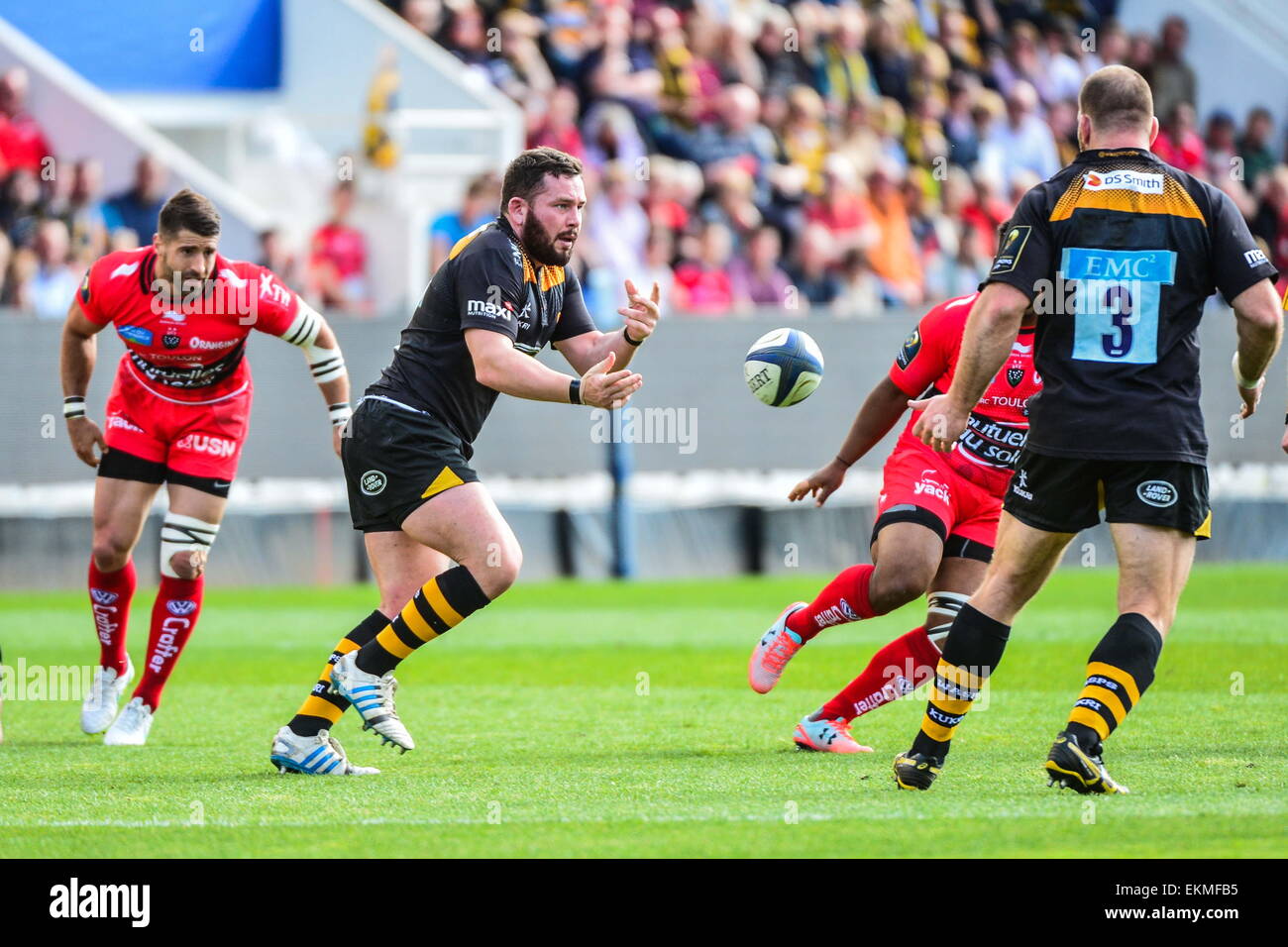 Edd SHERVINGTON - 05.04.2015 - Toulon/Londres Wasps - 1/4Finale ...
