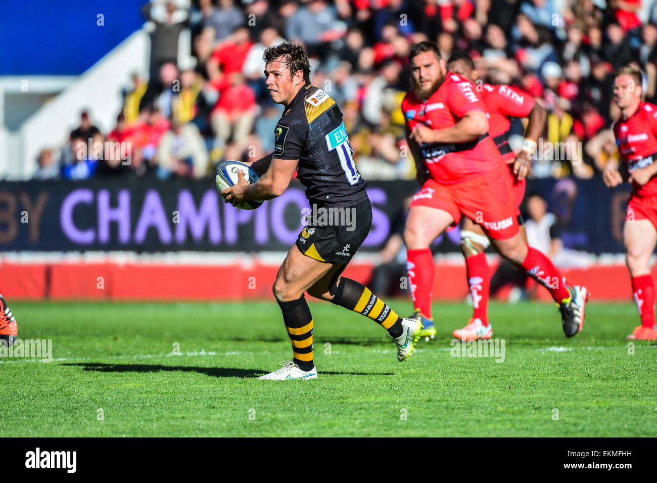 Rob MILLER - 05.04.2015 - Toulon/Londres Wasps - 1/4Finale European ...