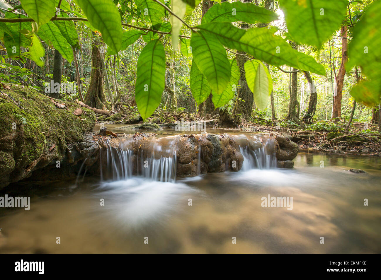 The long exposure image of a beautiful river in the forest Stock Photo ...