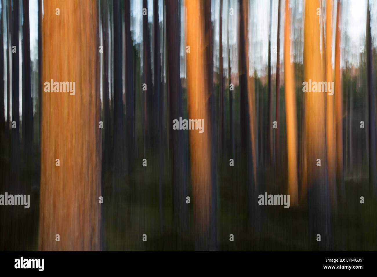 Drag shot hi-res stock photography and images - Alamy