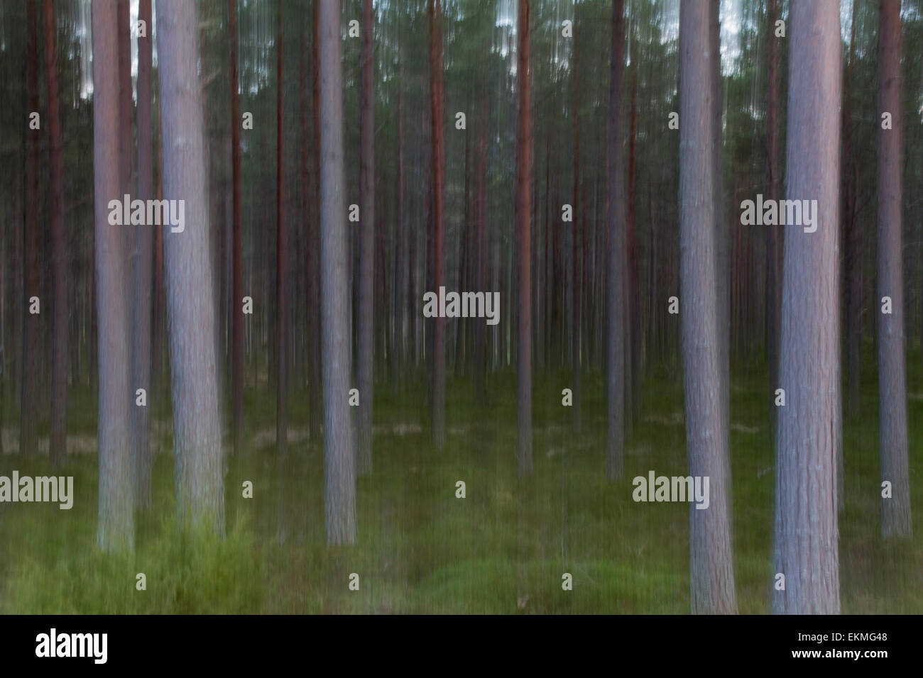 Drag shot hi-res stock photography and images - Alamy