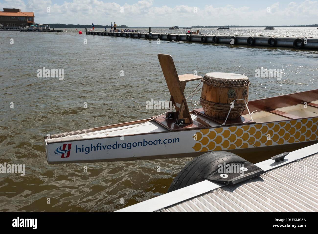 Dragon Boat Racing at a local event in Tavares, Florida USA Stock Photo ...