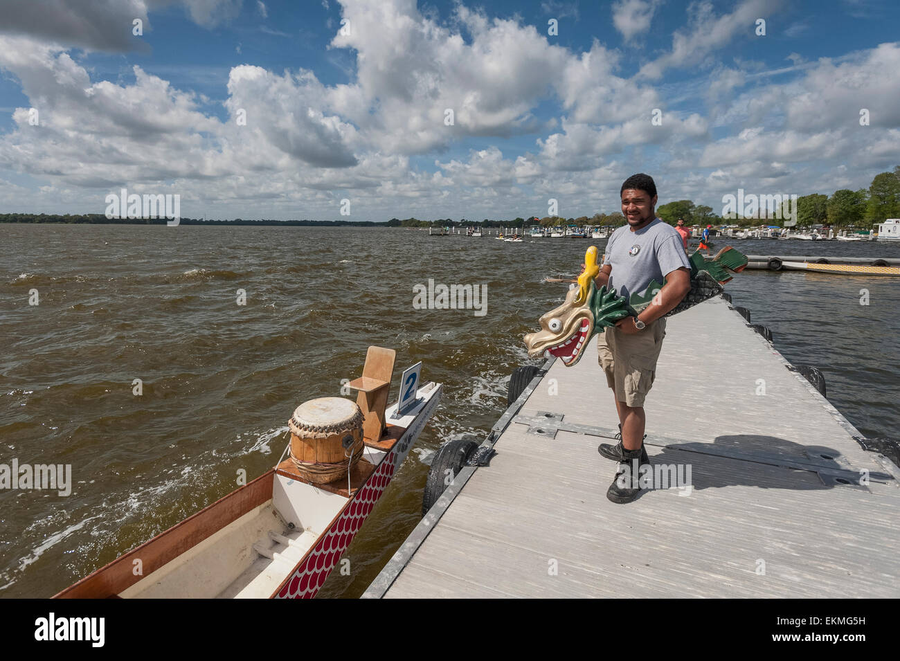 Dragon Boat Racing at a local event in Tavares, Florida USA Stock Photo ...