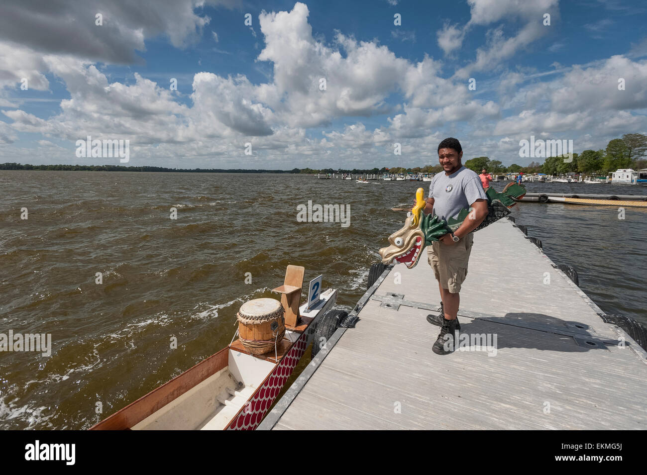 Dragon Boat Racing at a local event in Tavares, Florida USA Stock Photo ...