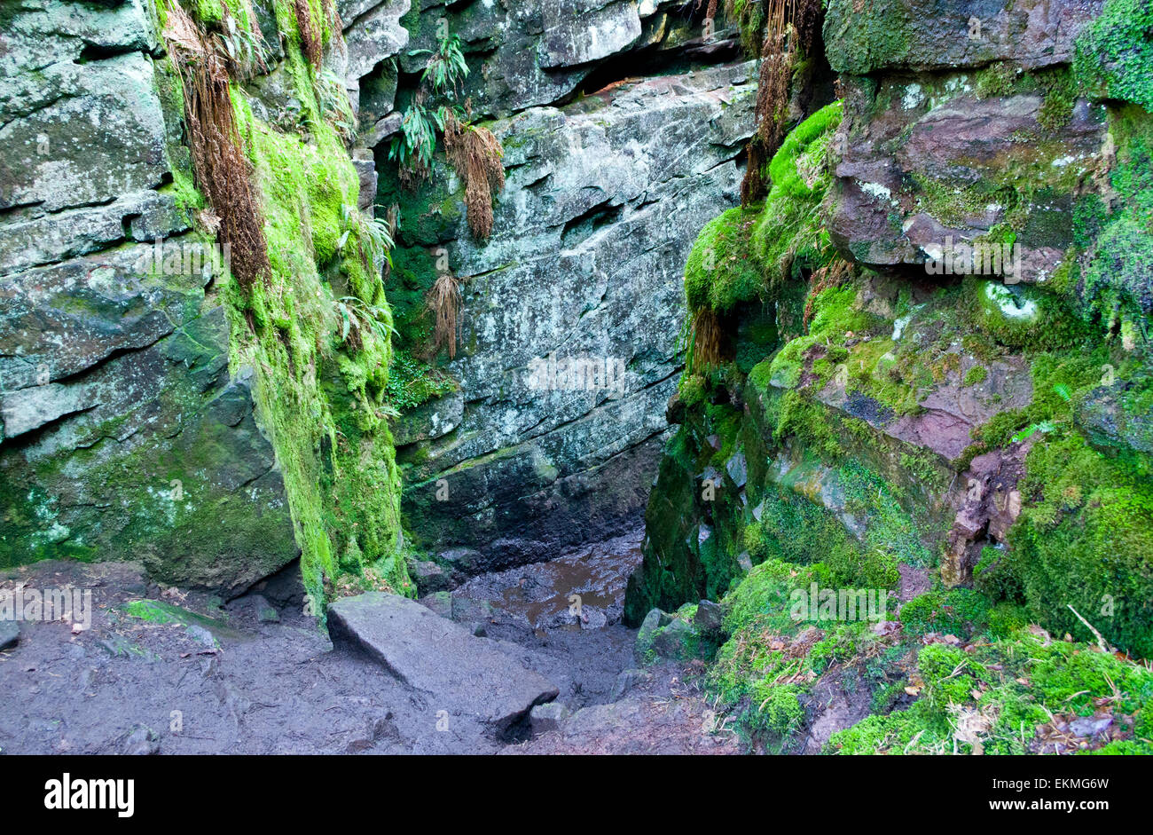 Lud's Church, Peak District National Park, Staffordshire, England, UK ...