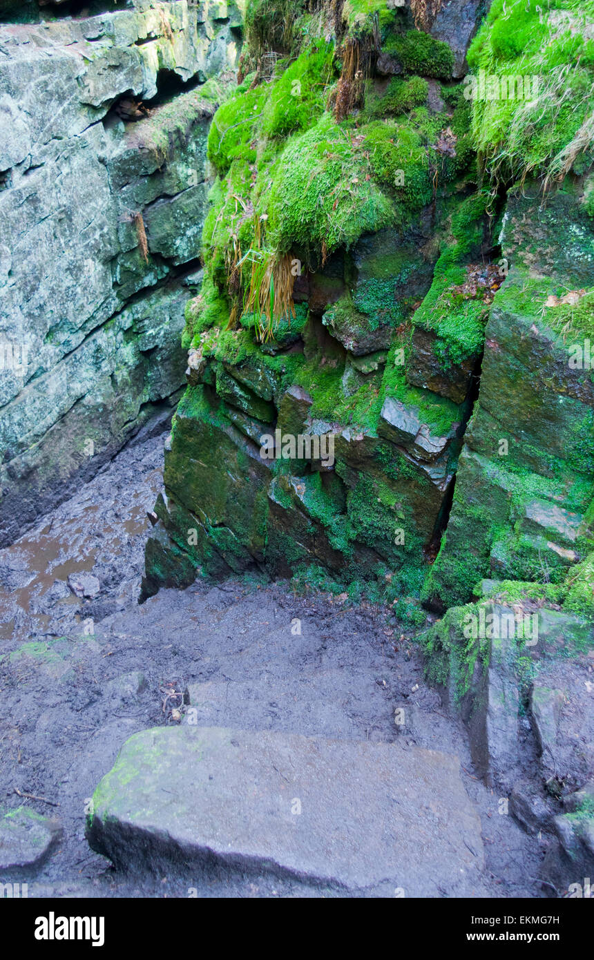 Lud's Church, Peak District National Park, Staffordshire, England, UK ...