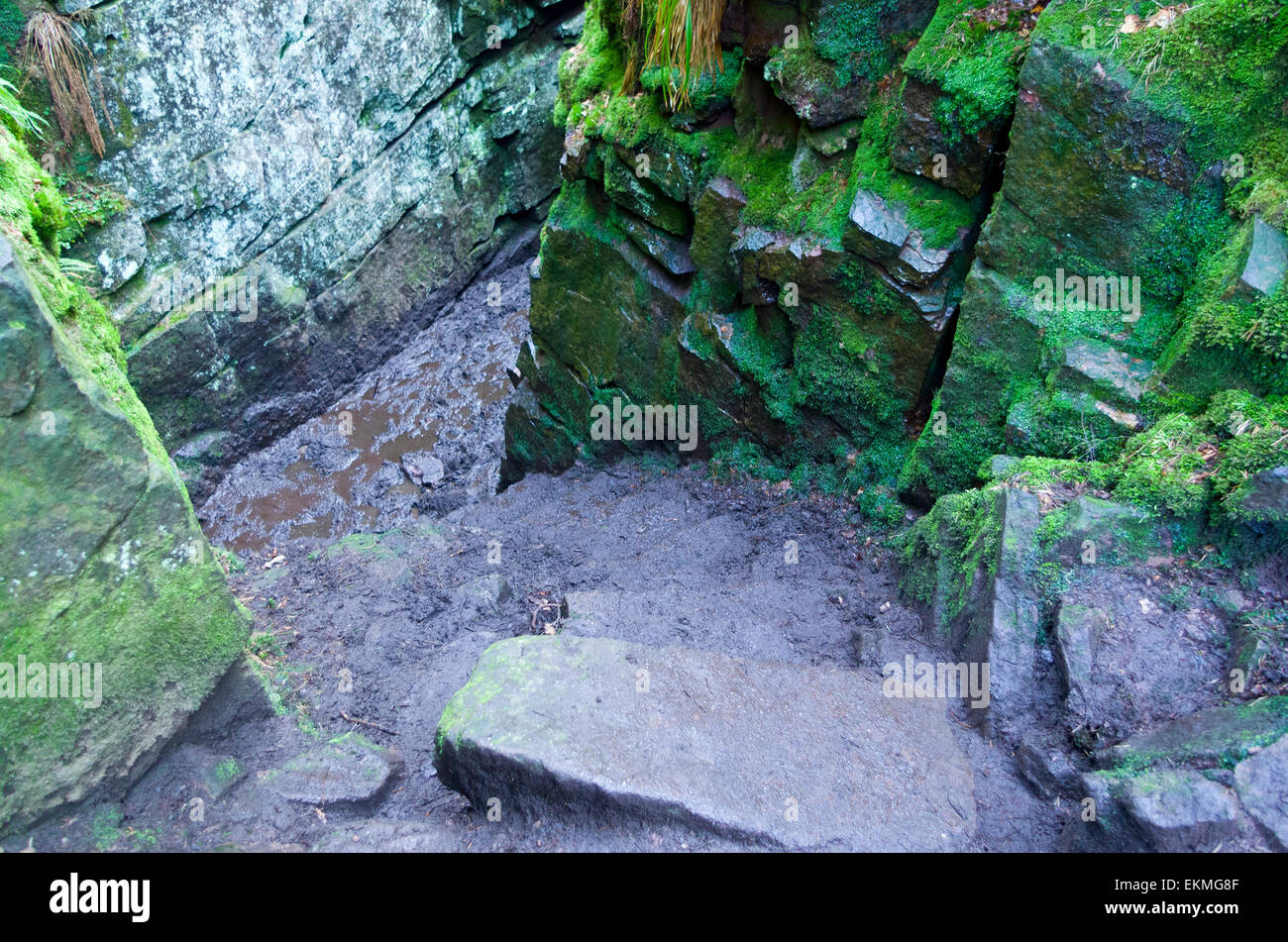 Lud's Church, Peak District National Park, Staffordshire, England, UK ...