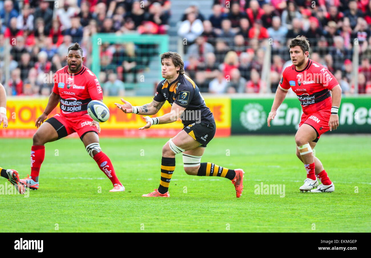Guy THOMPSON - 05.04.2015 - Toulon/Londres Wasps - 1/4Finale European ...