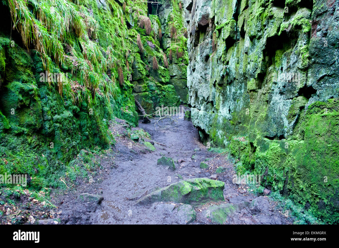 Lud's Church, Peak District National Park, Staffordshire, England, UK ...