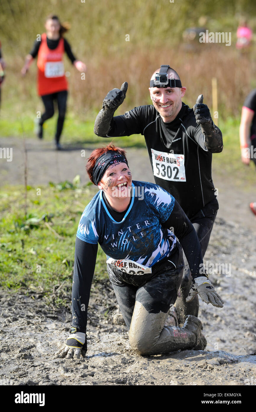 The wolf run uk hi-res stock photography and images - Alamy