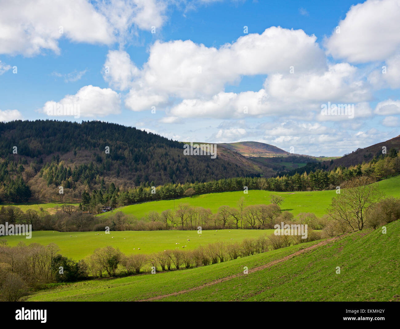 Bishop's castle and shropshire hi-res stock photography and images - Alamy