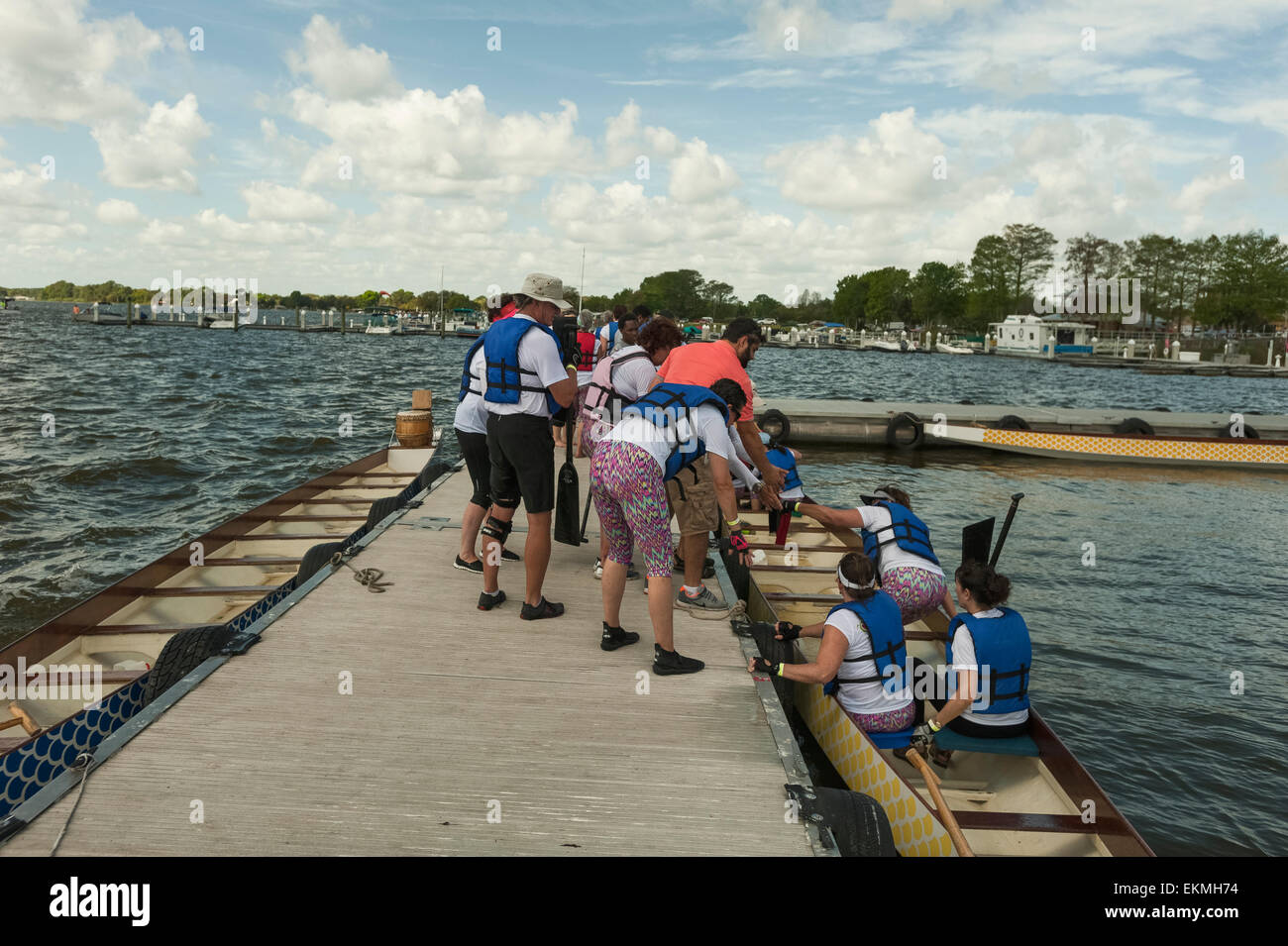 Dragon Boat Racing at a local event in Tavares, Florida USA Stock Photo ...