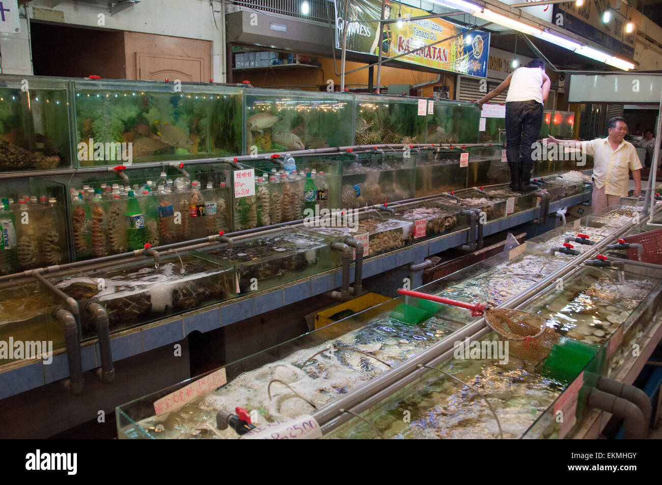 Fish market in Borneo, Malaysia Stock Photo - Alamy