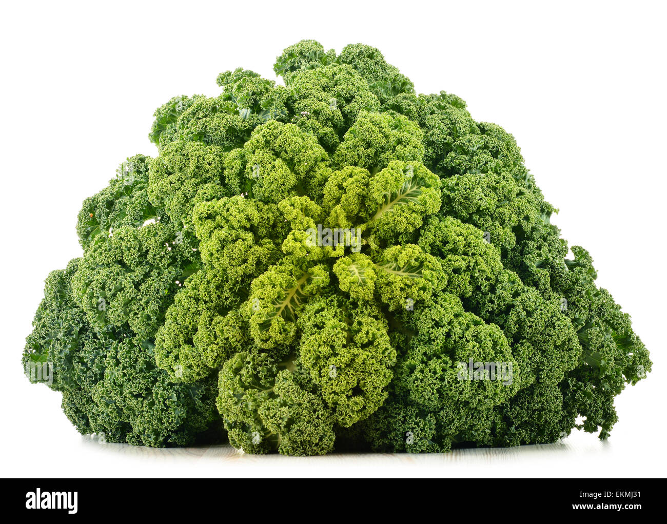 Kale garden hi-res stock photography and images - Alamy