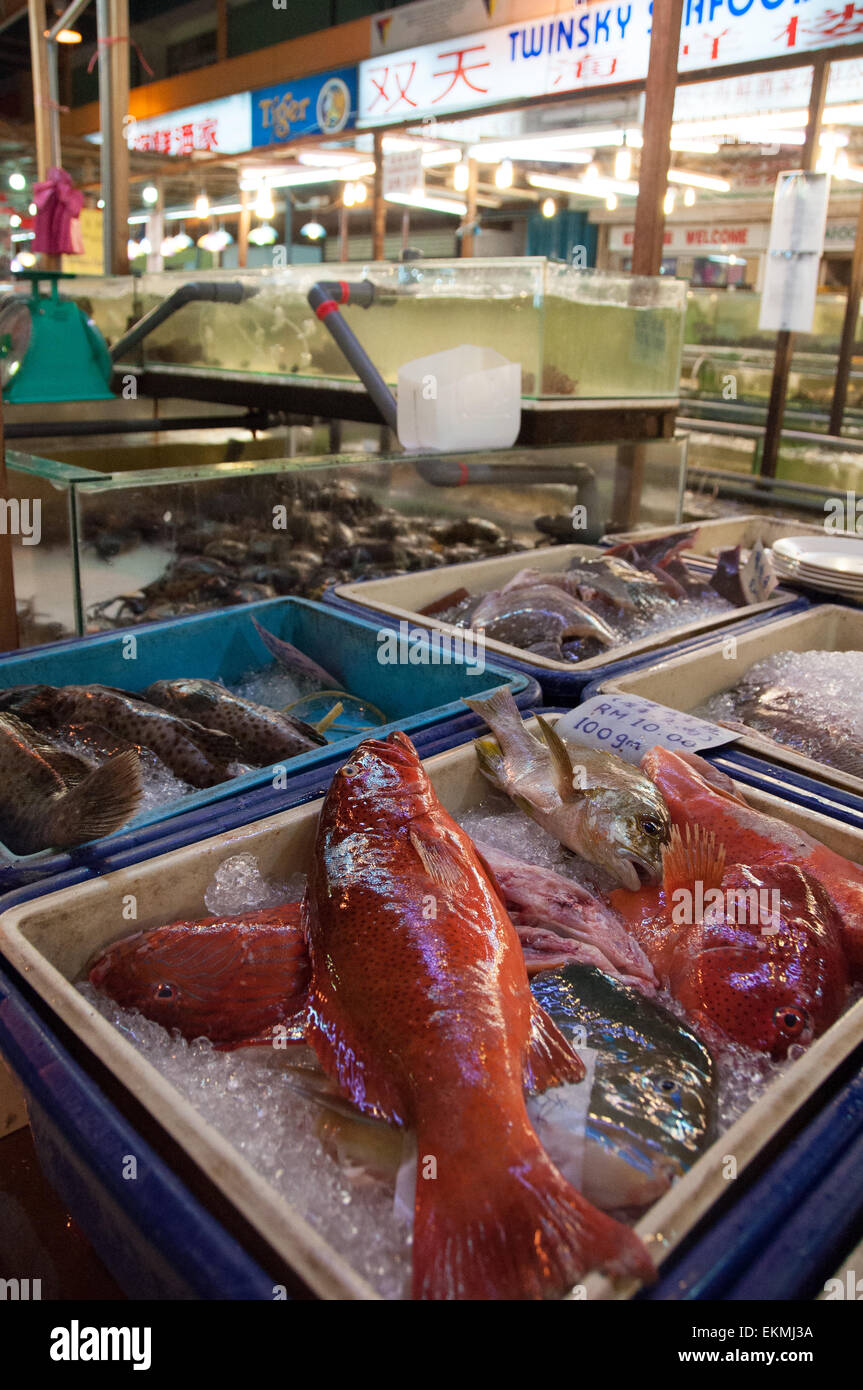 Fish market in Borneo, Malaysia Stock Photo - Alamy