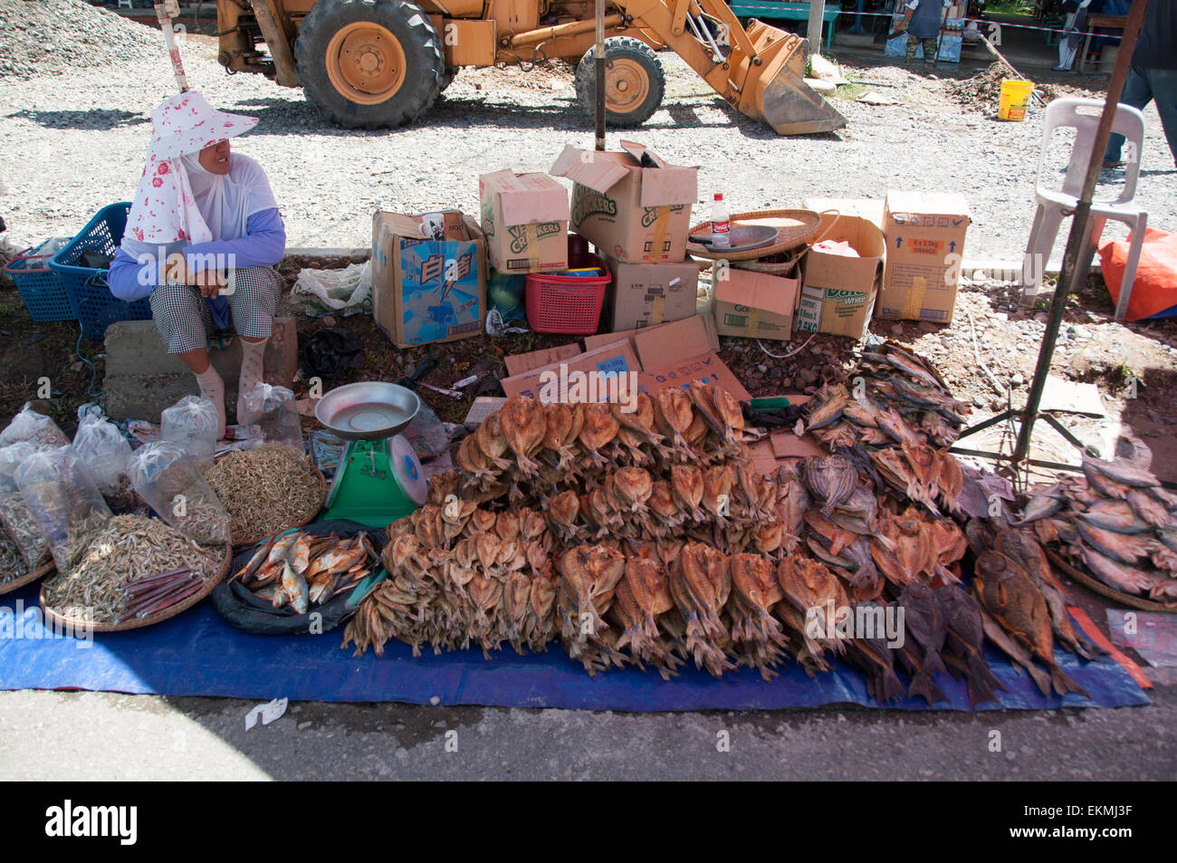 Dry Fish Market High Resolution Stock Photography and Images - Alamy