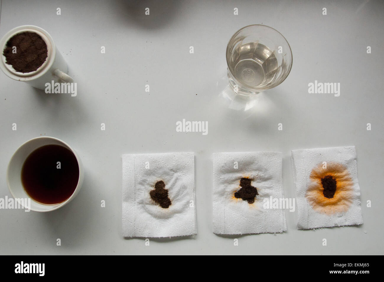 Sabah tea test, Borneo, Malaysia Stock Photo - Alamy