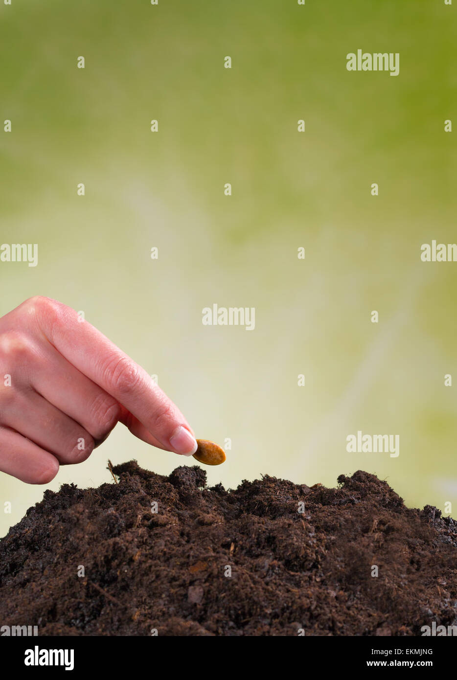 Woman hand seeding seed into pile of soil Stock Photo - Alamy