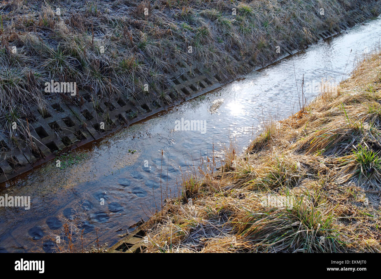spring sun reflection in the clear stream Stock Photo - Alamy