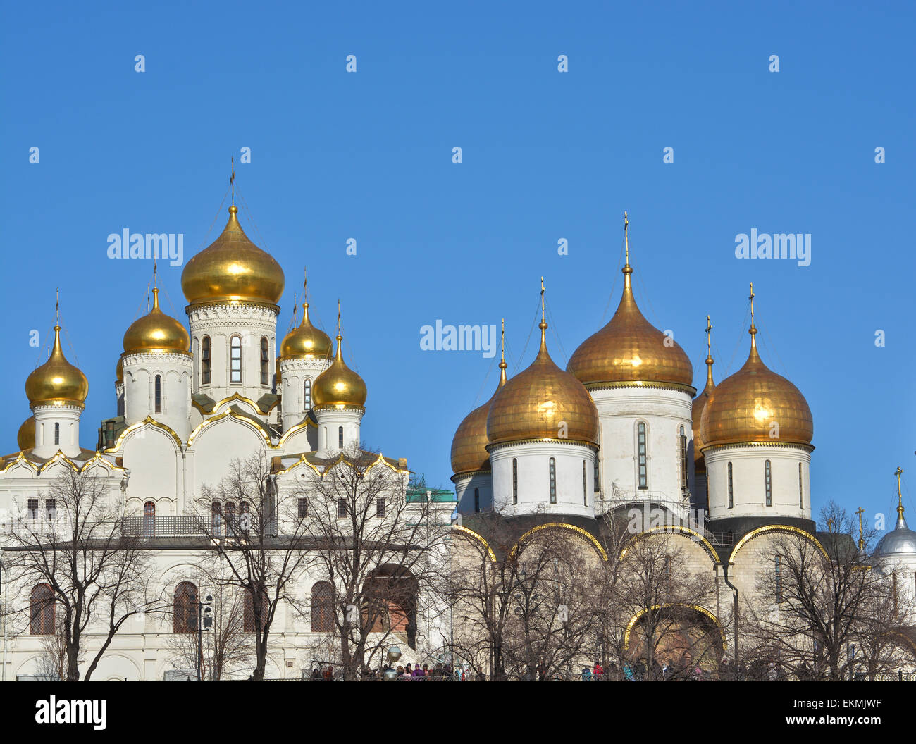 Domes of the Kremlin churches. Russia, Moscow, Orthodox cathedrals ...
