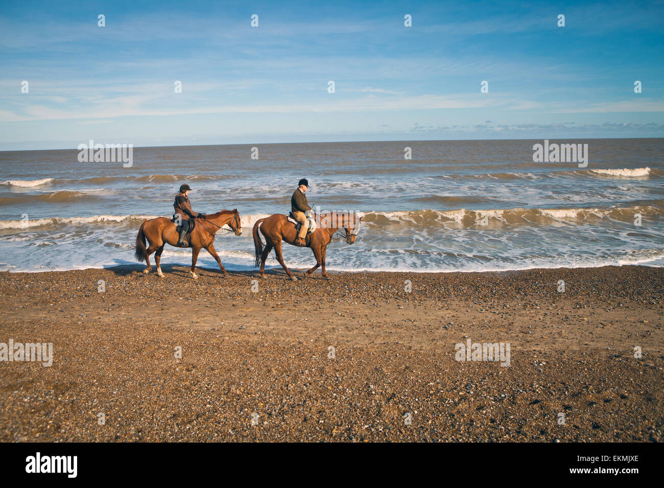 Suffolk horse riding hi-res stock photography and images - Alamy