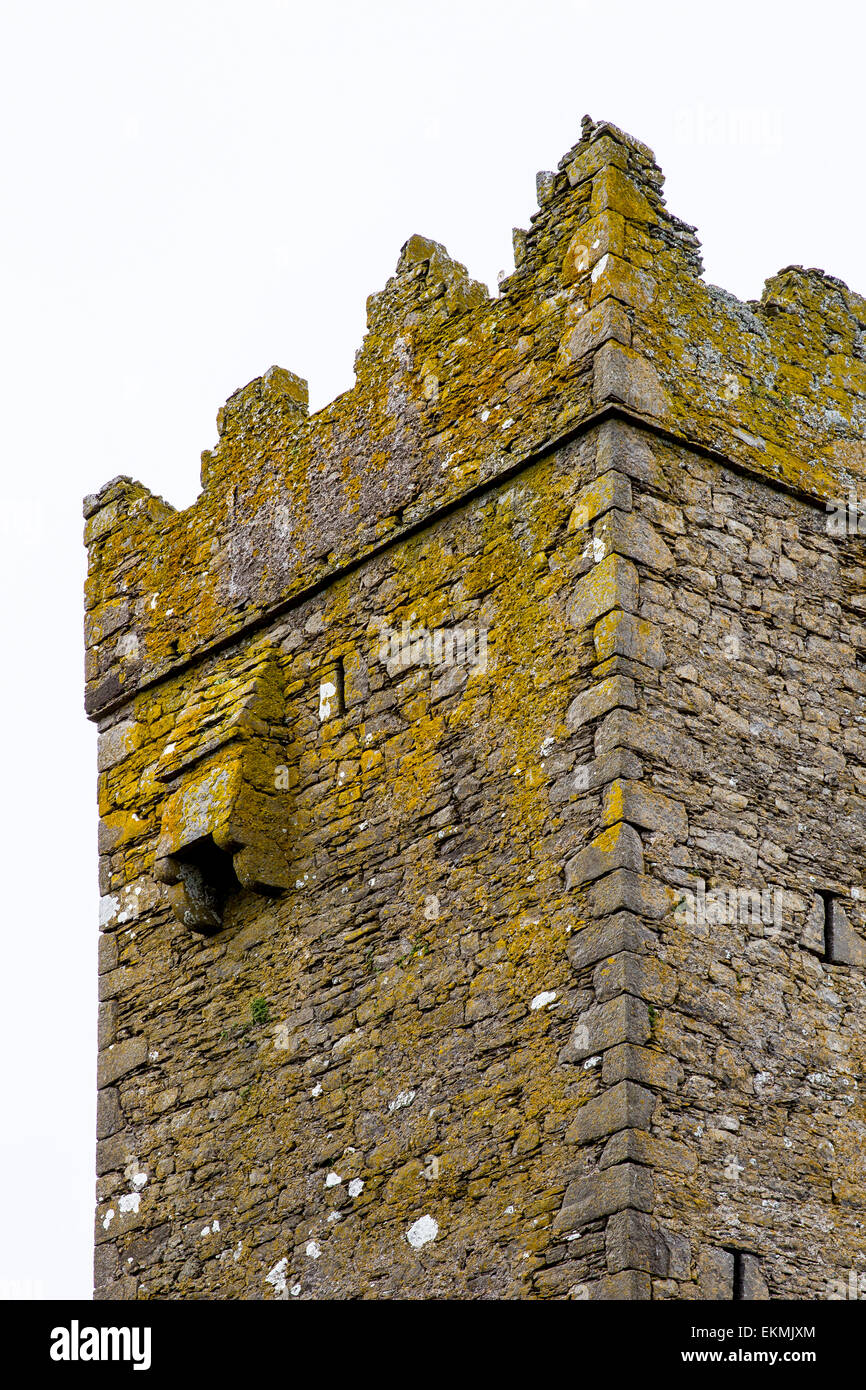 Medieval Castle Bathrooms