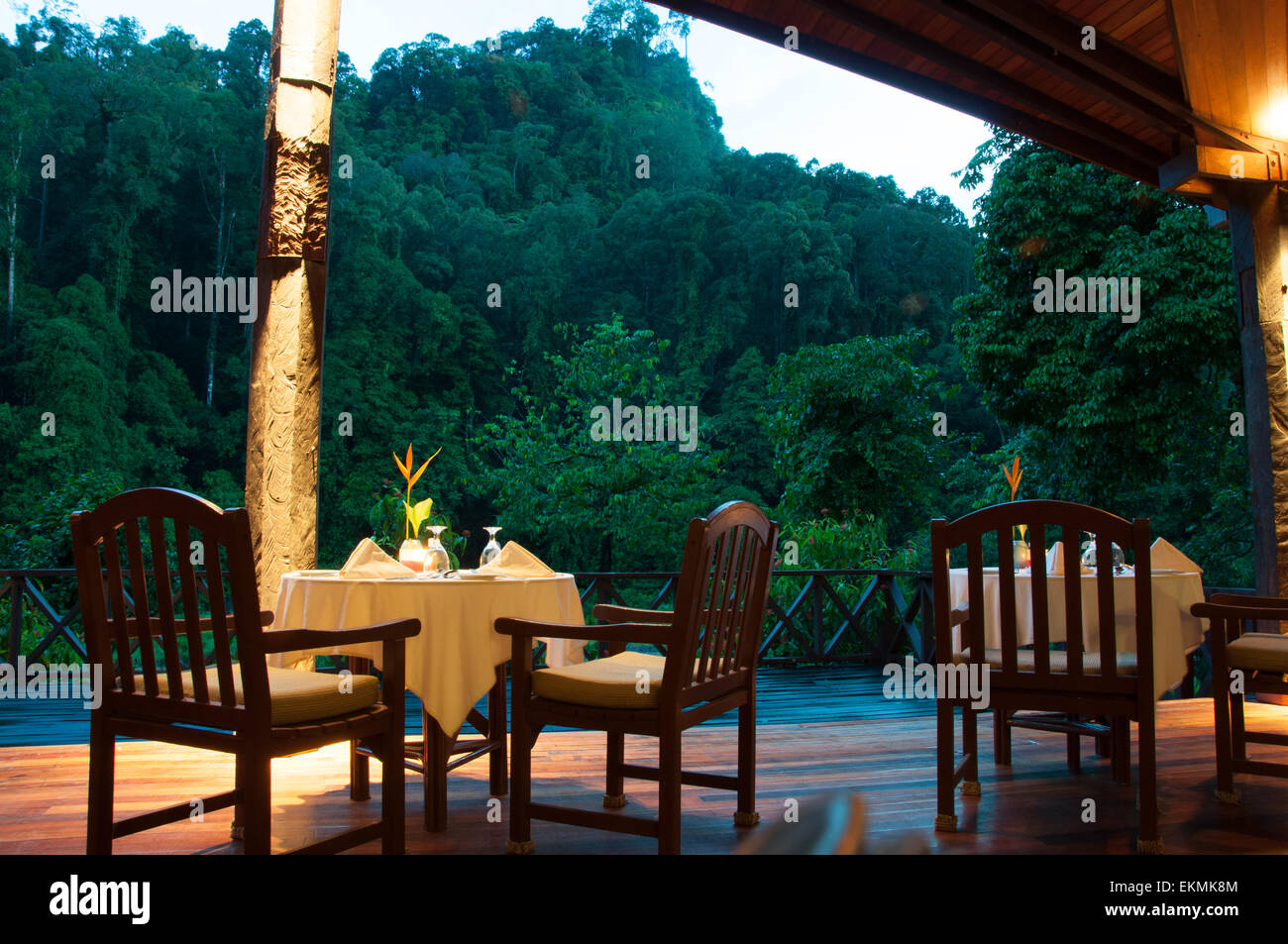 The view from the Borneo Rainforest Resort, Danum Valley, Sabah ...