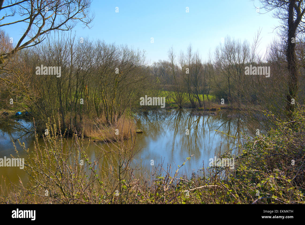 Pond surrounded by trees hi-res stock photography and images - Alamy