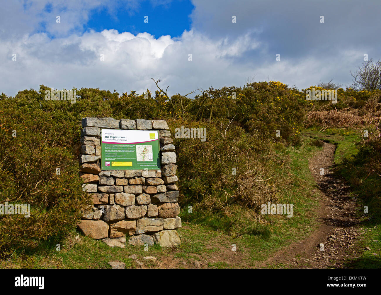 The Stiperstones, a national nature reserve in Shropshire, England UK ...