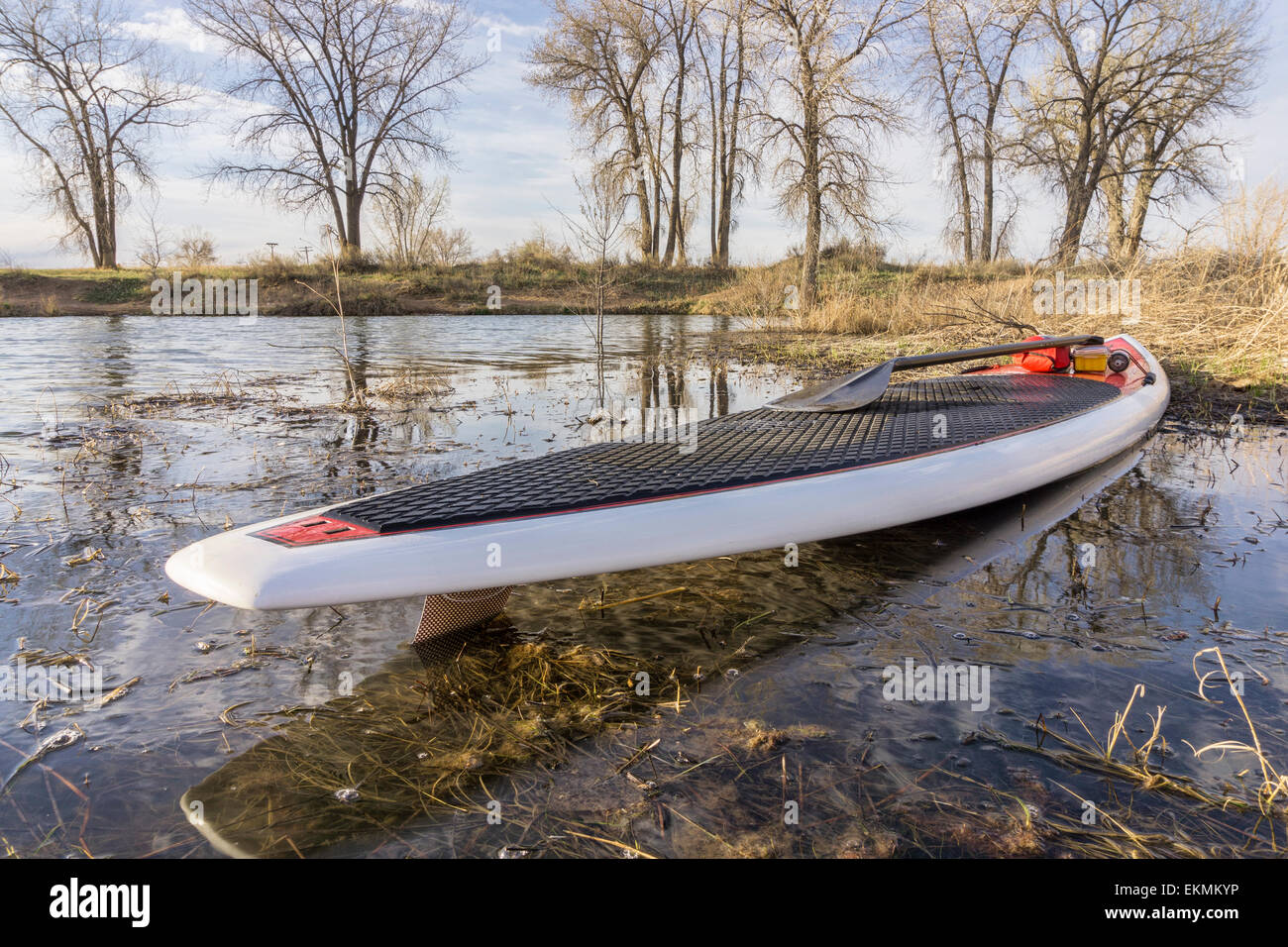 SUP paddleboard on a lake shore, spring time in Colorado Stock Photo ...