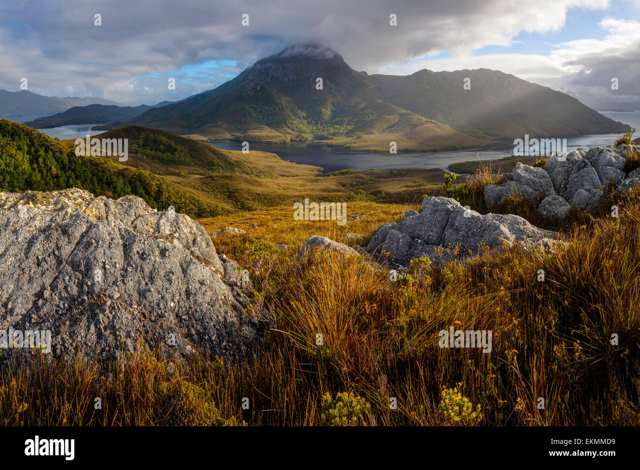 Mount Rugby - Southwest National Park - Tasmania - Australia Stock ...