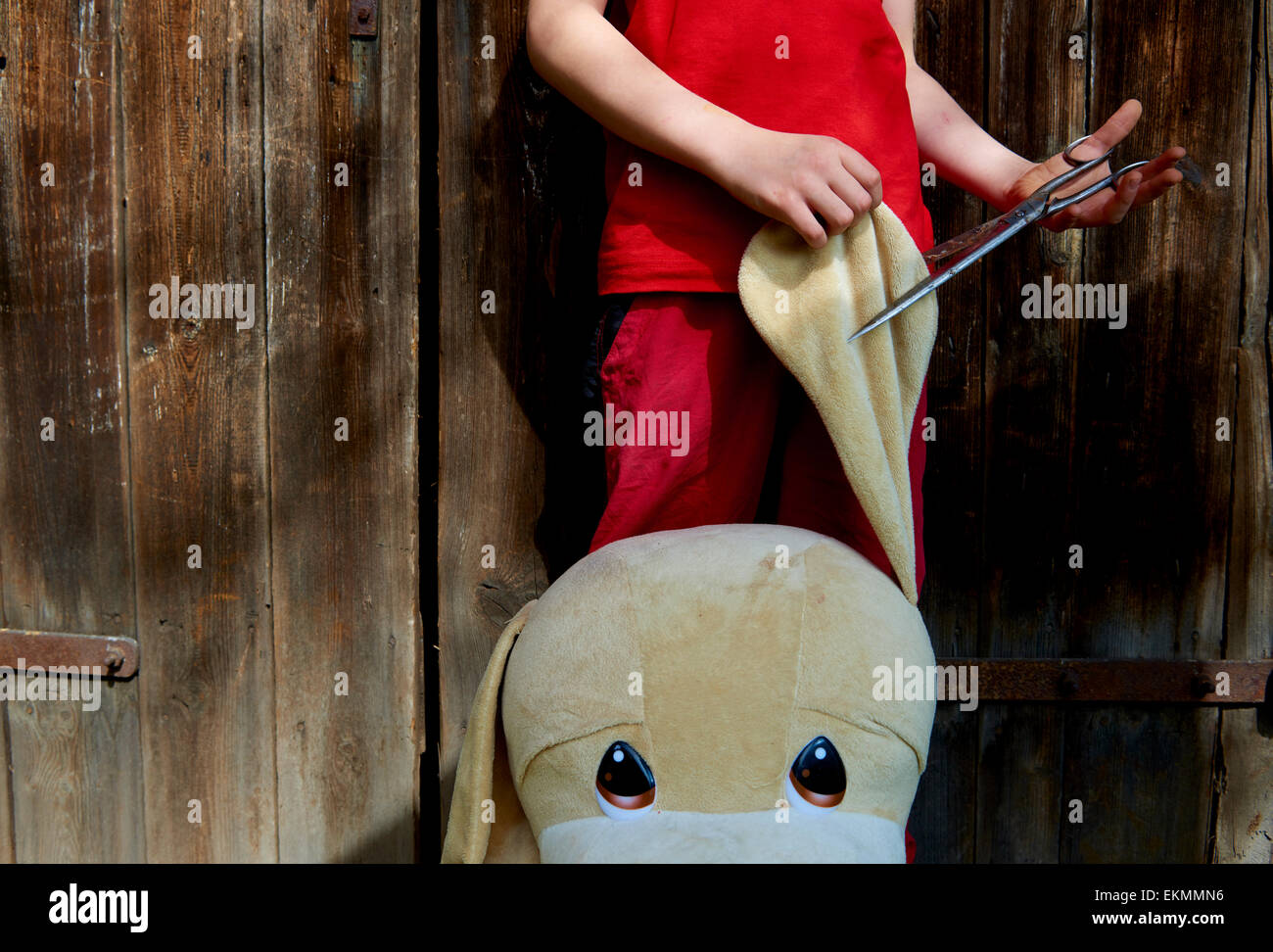 Cruelty Child boy torturing animal pet dog toy - ear cut with scissors ...