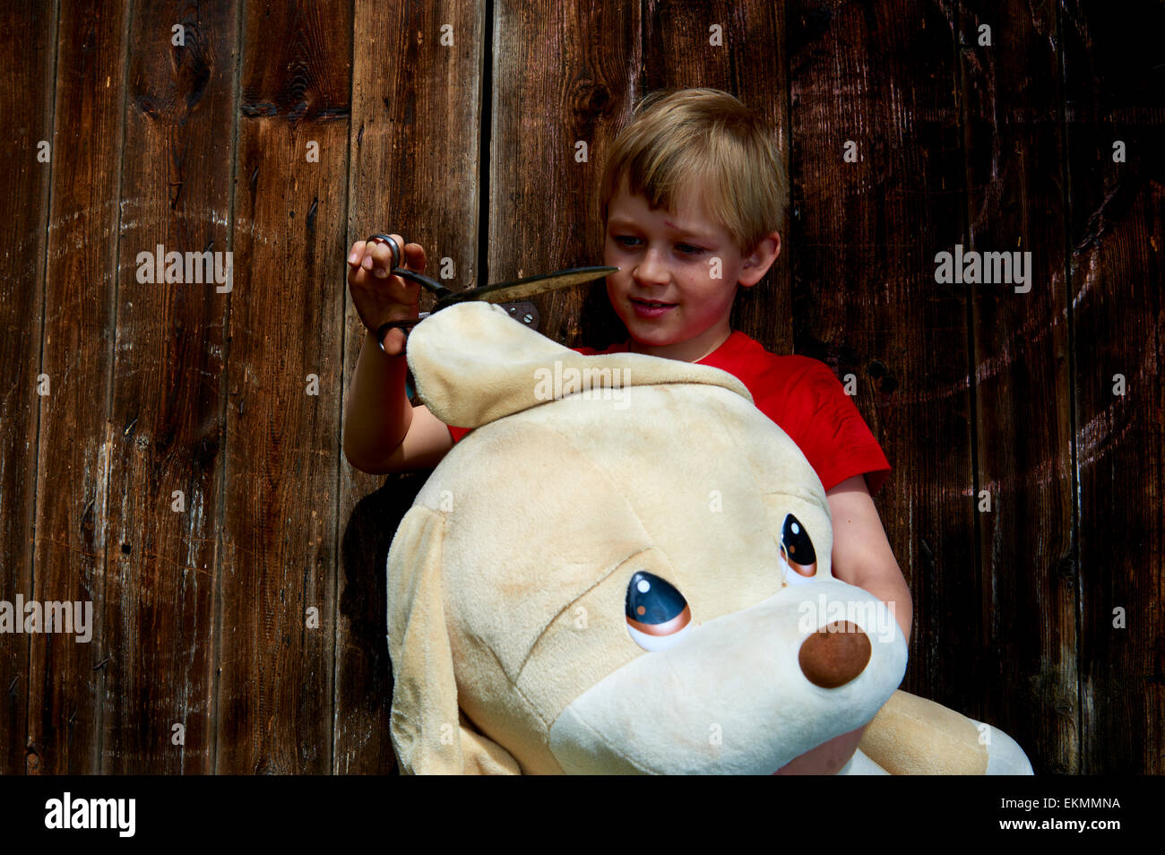 Cruelty Child boy torturing animal pet dog toy - ear cut with scissors ...