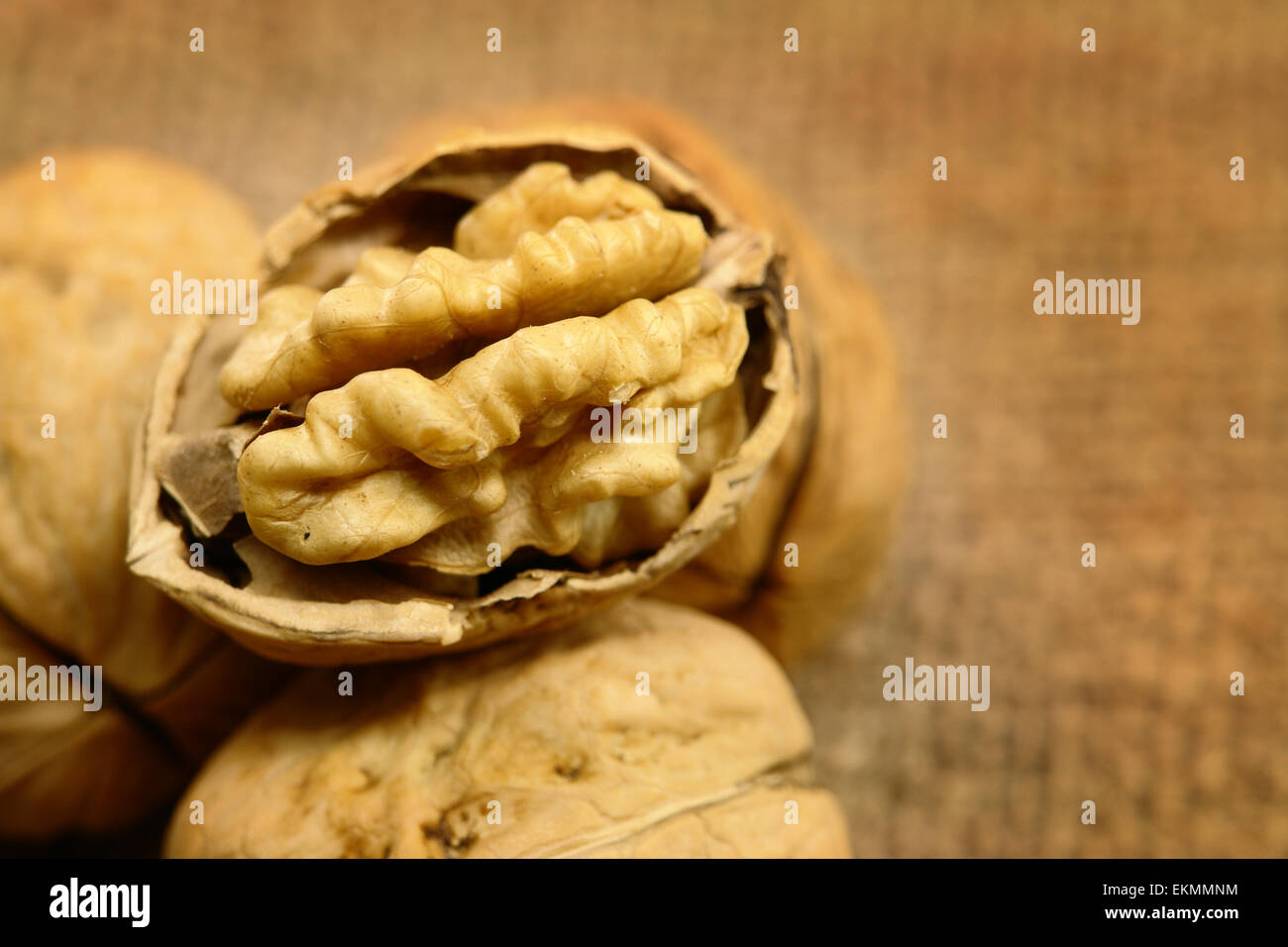 Macro peeled walnut kernel hi-res stock photography and images - Alamy