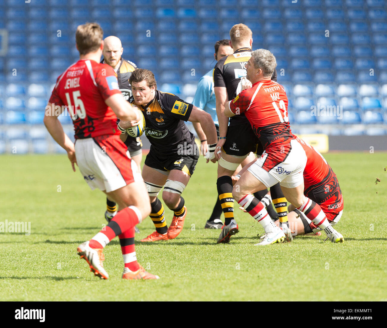Wasps Guy Thompson High Resolution Stock Photography and Images - Alamy