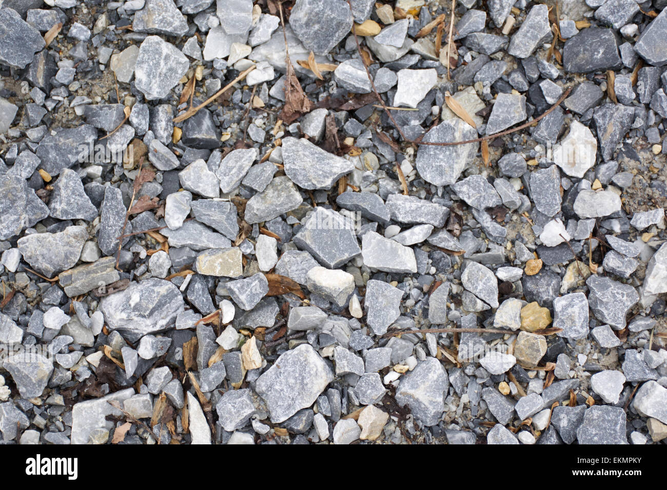 Pathway texture hi-res stock photography and images - Alamy