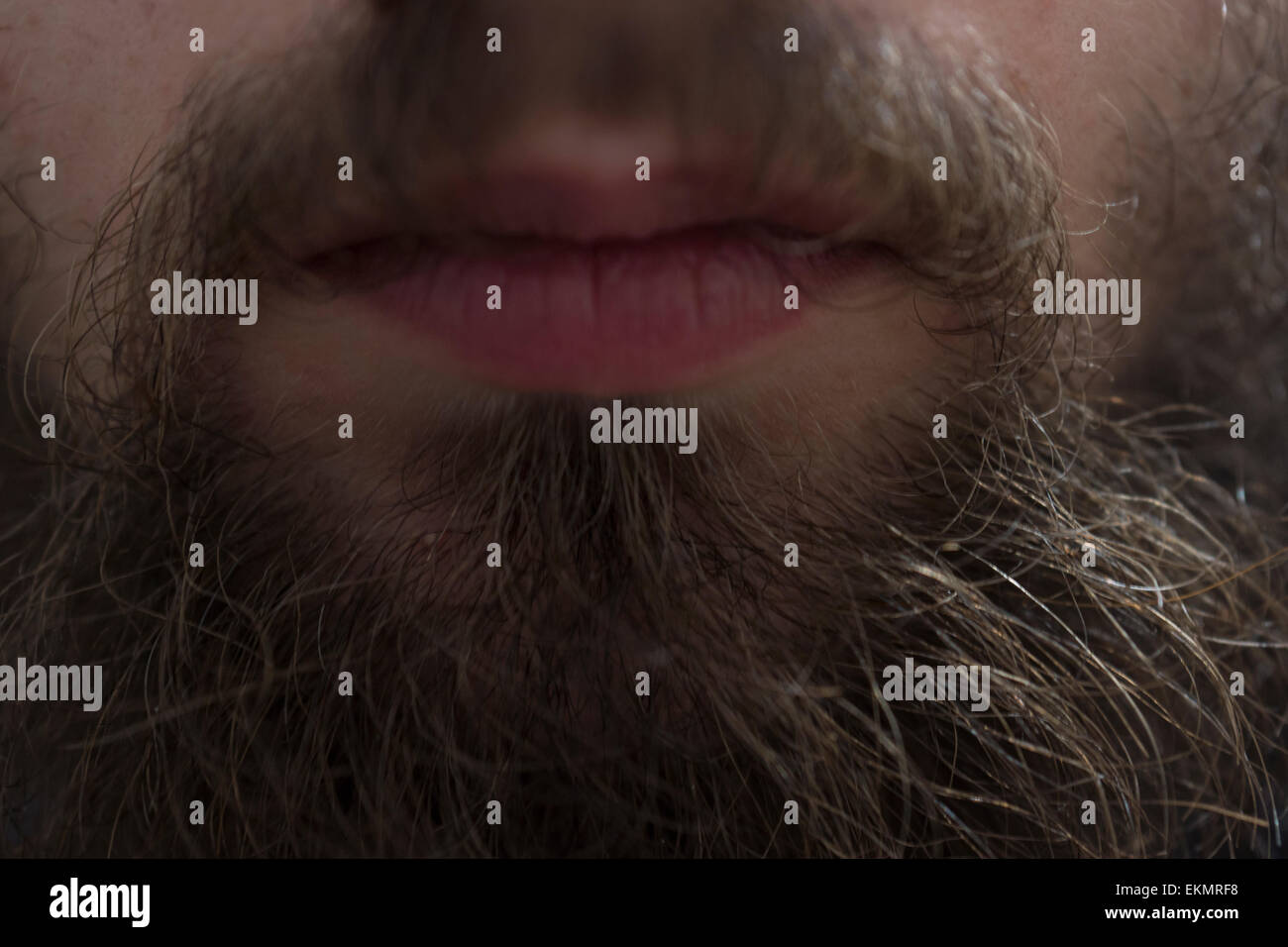 Beard front hi-res stock photography and images - Alamy