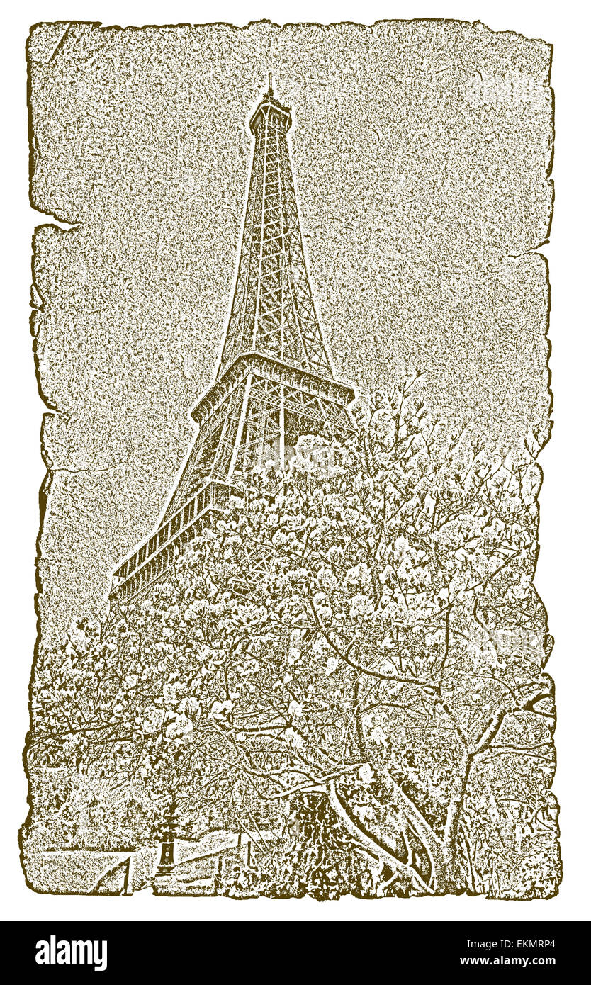 Eiffel spring not flower Cut Out Stock Images & Pictures - Alamy