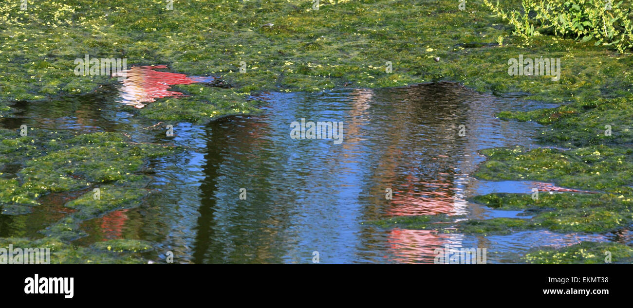 Abstract colorful reflection designs in water Stock Photo - Alamy