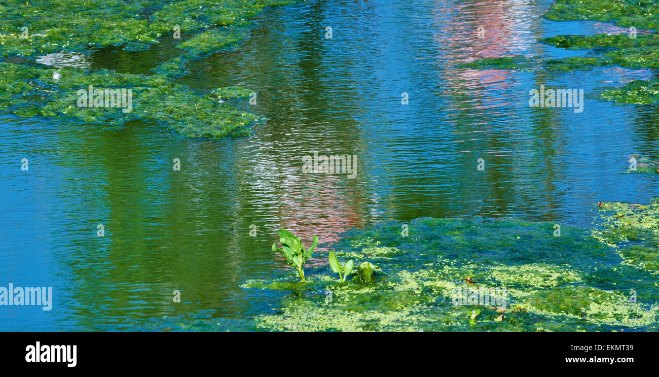 Abstract colorful reflection designs in water Stock Photo - Alamy