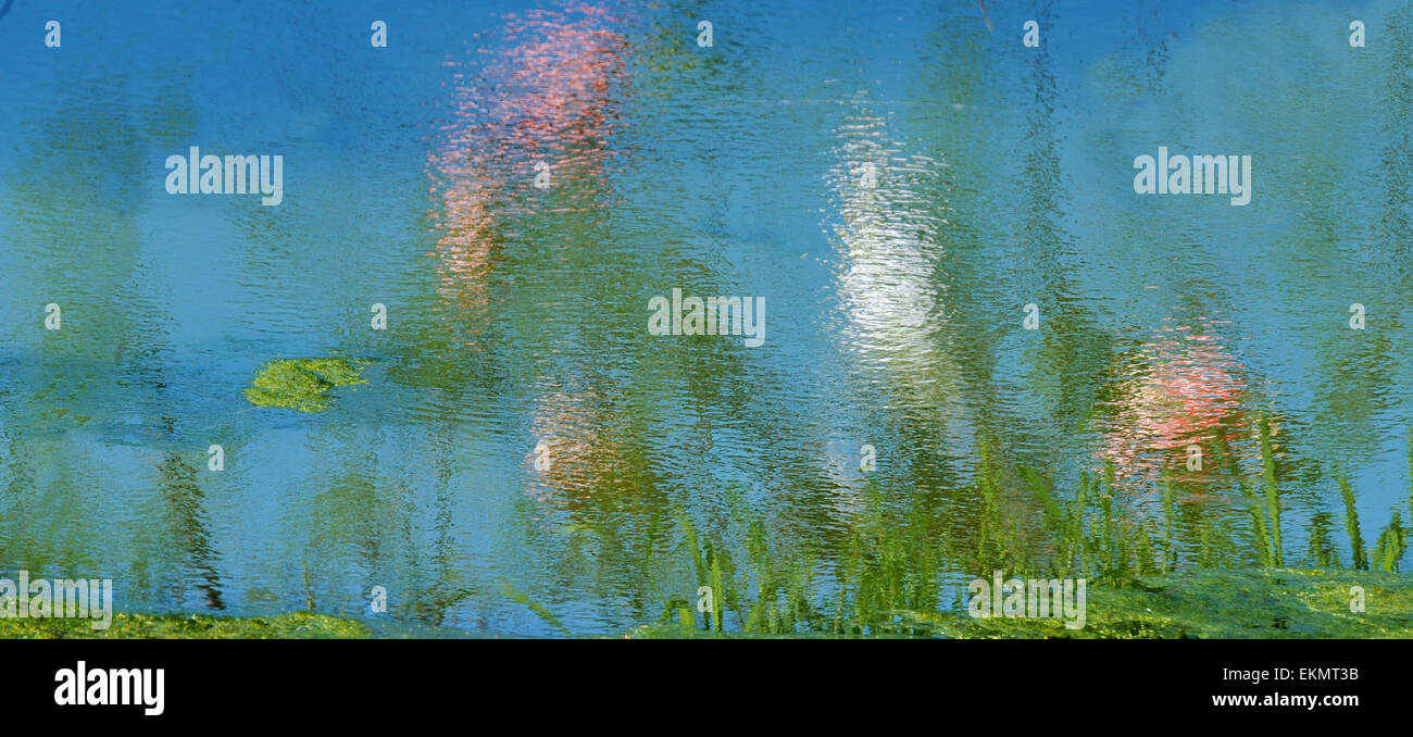 Abstract colorful reflection designs in water Stock Photo - Alamy