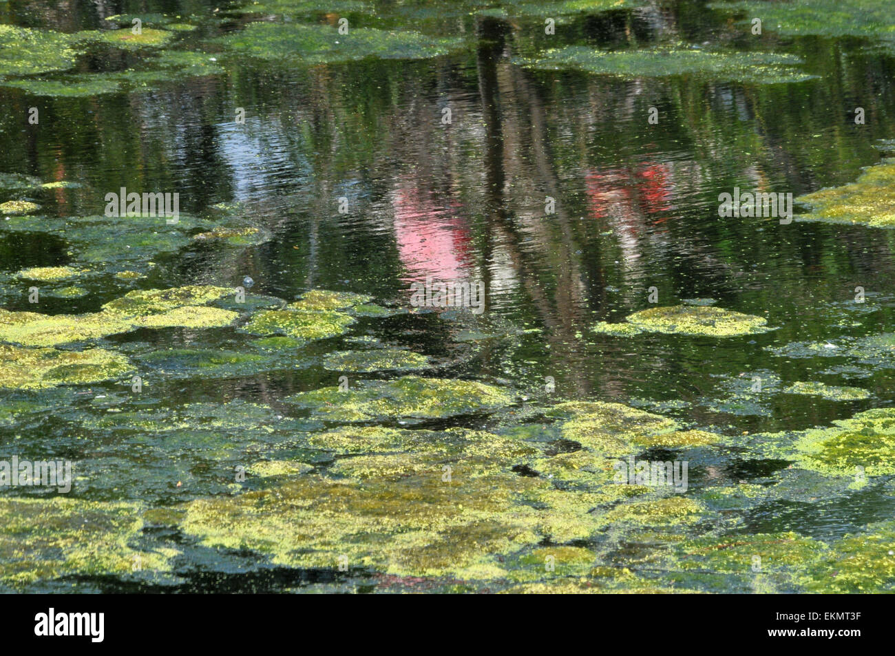 Abstract colorful reflection designs in water Stock Photo - Alamy