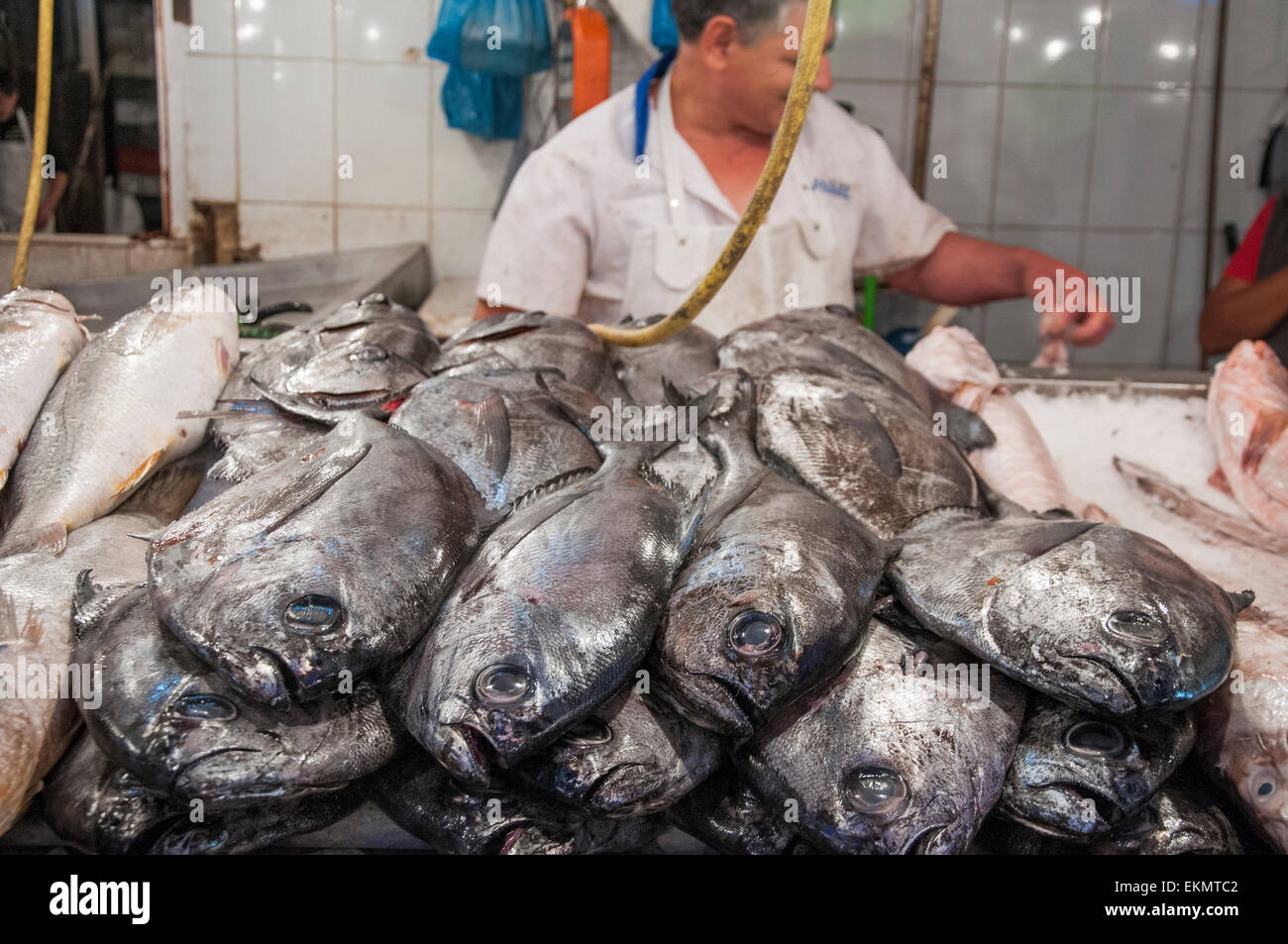 Central market fish fishmonger hi-res stock photography and images - Alamy