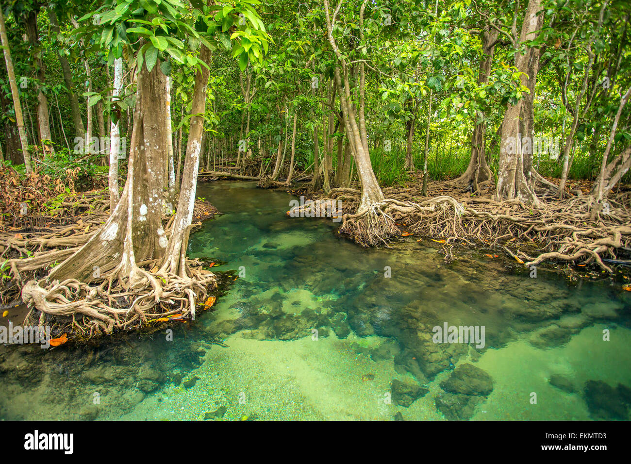 In turquoise green water hi-res stock photography and images - Alamy