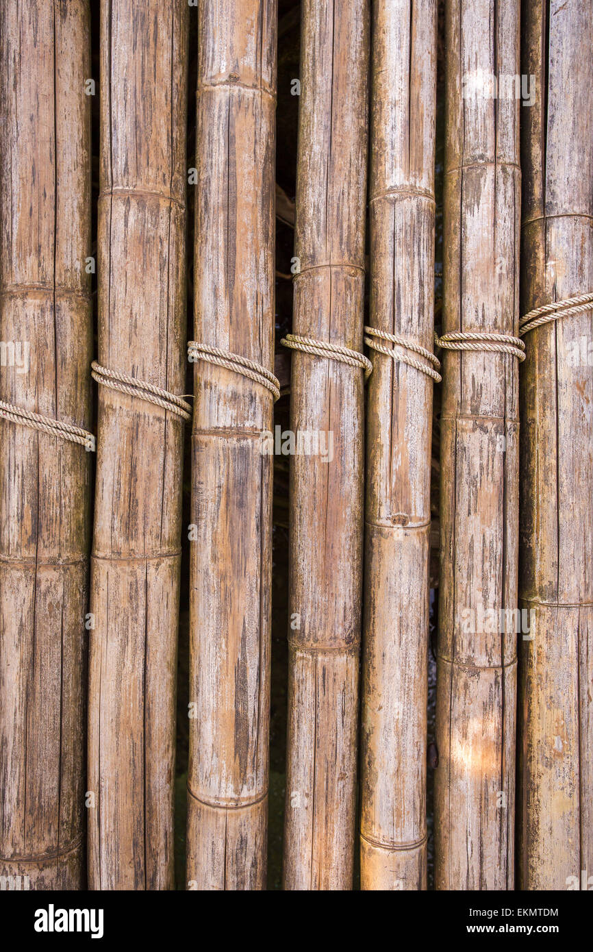 Bamboo sticks with a rope background Stock Photo - Alamy