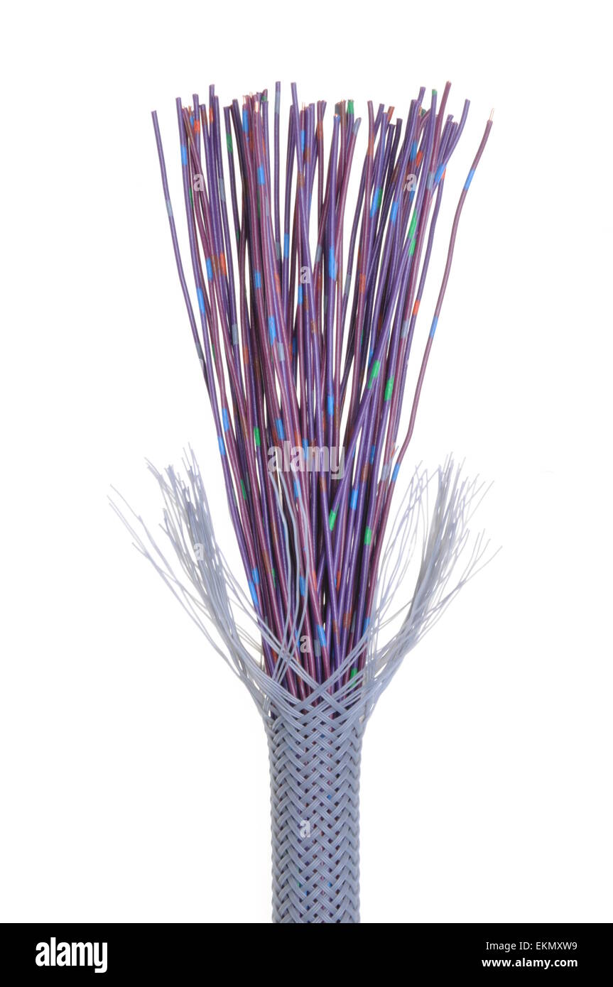 Violet electrical wires with cable shield Stock Photo - Alamy