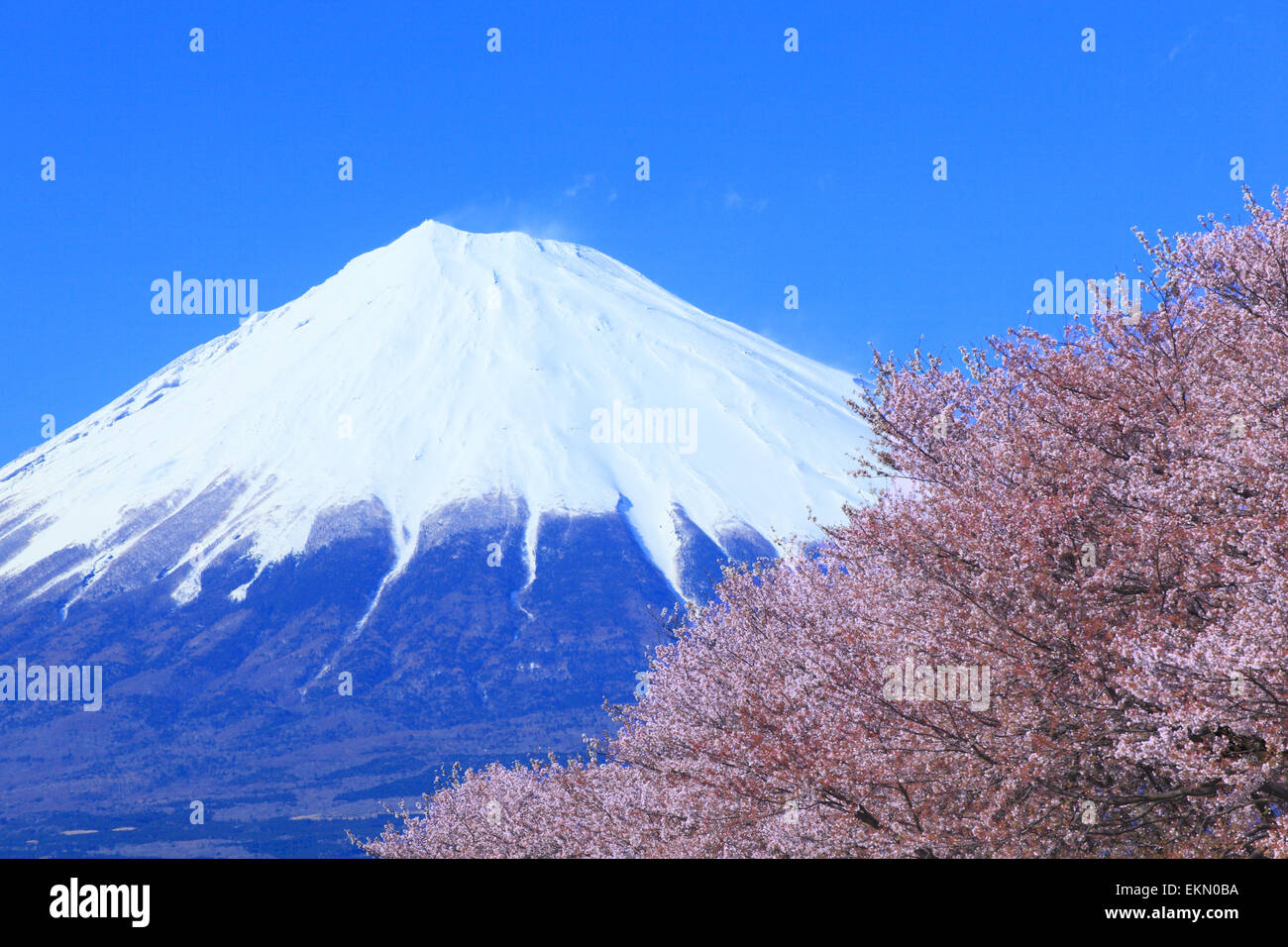 Shizuoka hi-res stock photography and images - Alamy