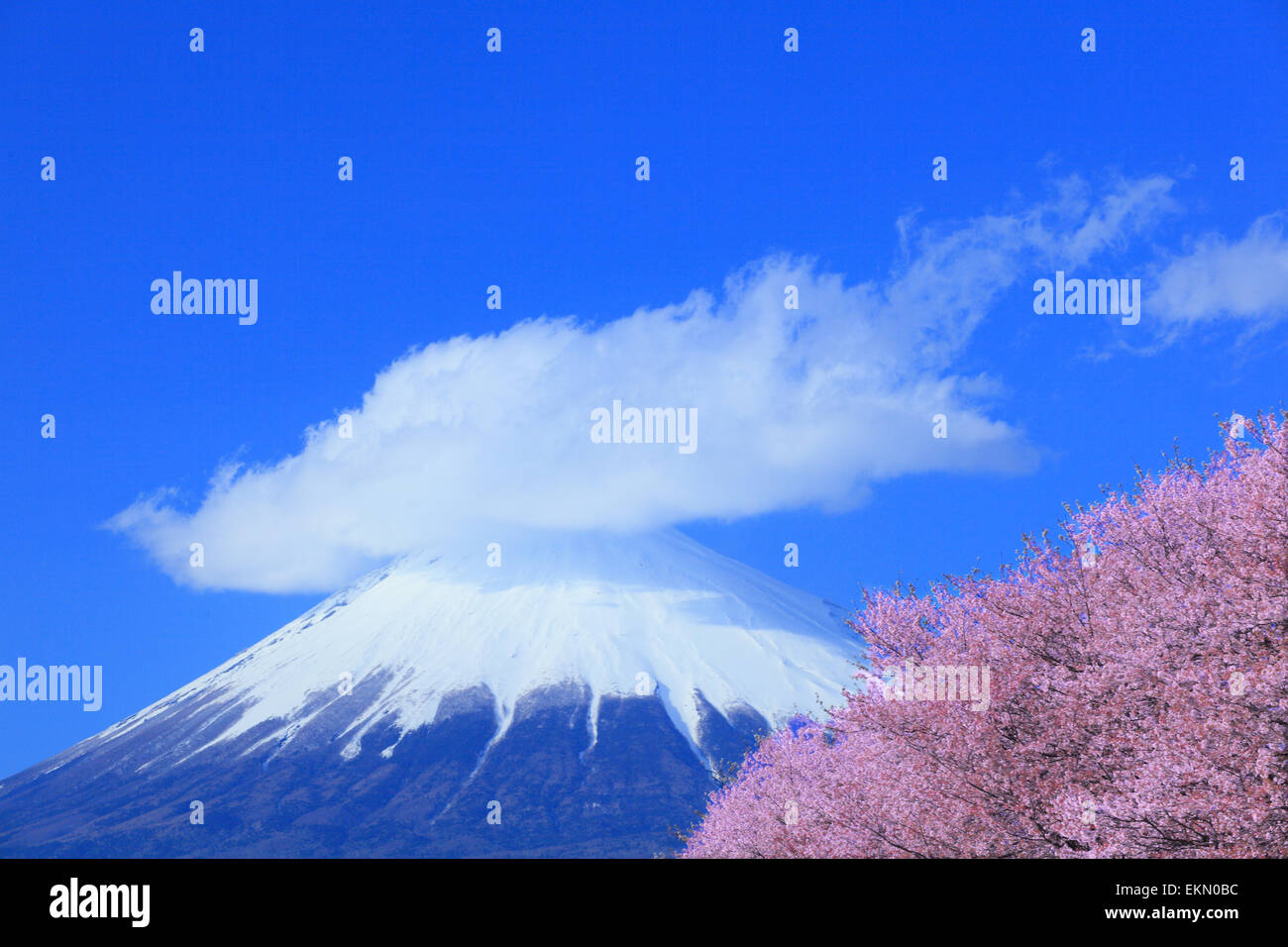 Shizuoka Prefecture, Japan Stock Photo - Alamy