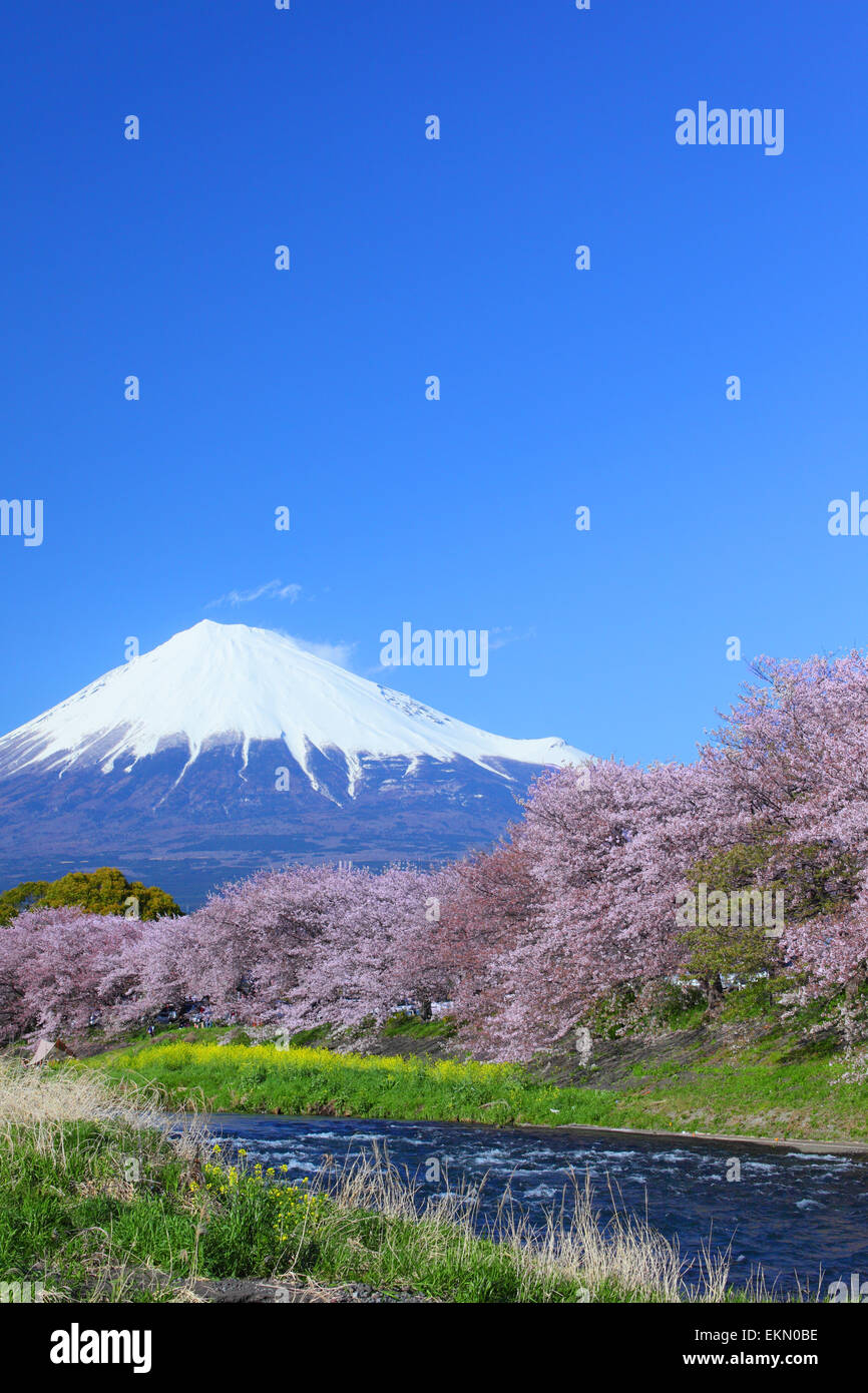 Shizuoka Prefecture, Japan Stock Photo - Alamy